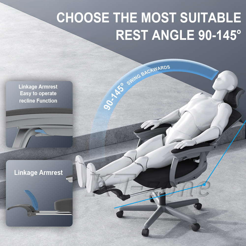 SitWell 1038 Adjustable Office Chair Ergonomic Chair Professional ...
