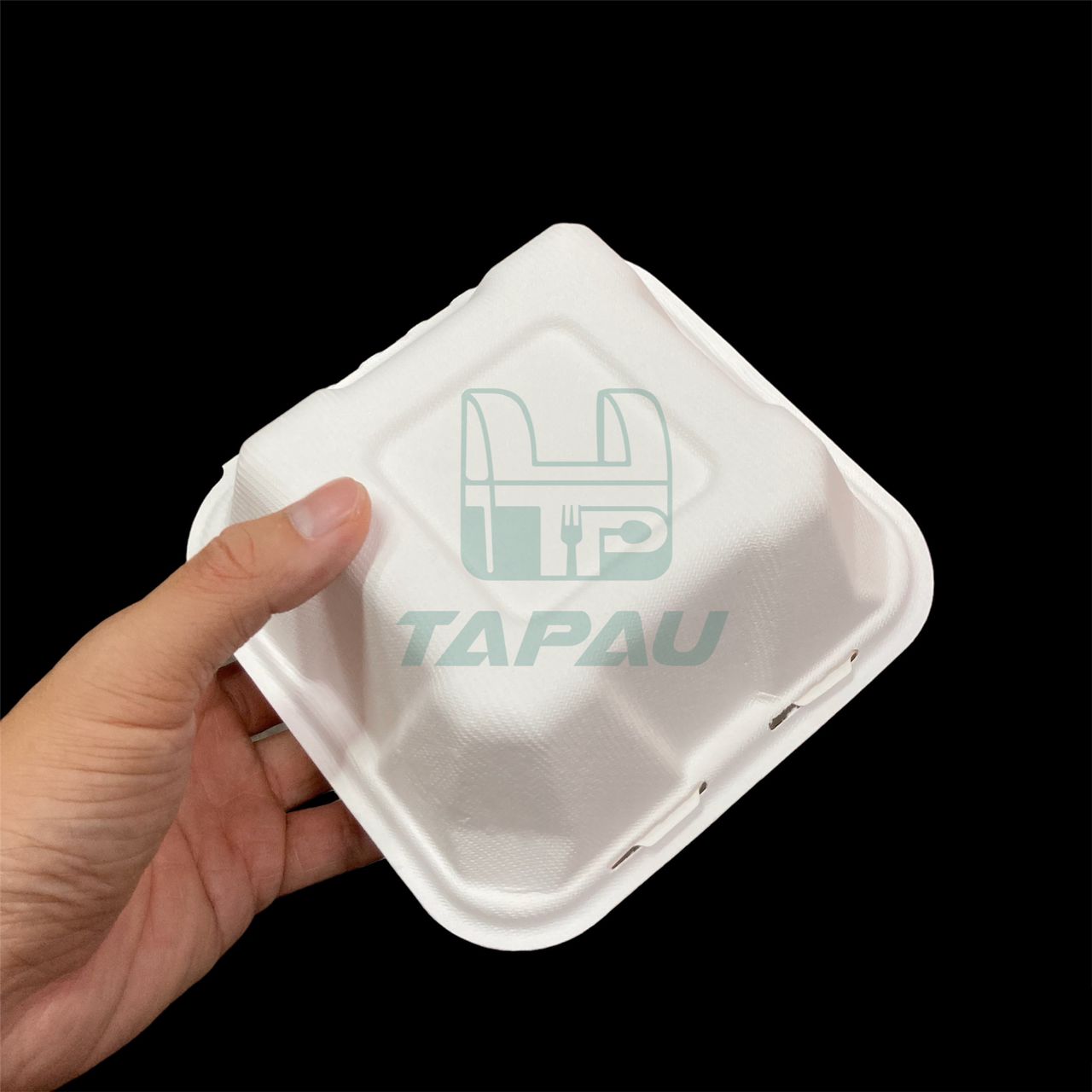 TAPAU002 - TG200 Biodegradable Burger Box 50pcs± Bio Cake Box / Cup Cake Box / Medium Size ...