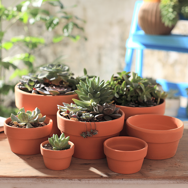 Red Pottery Shallow Clay Pot Terracotta Pot 红陶多肉陶瓷矮花盆 Pasu Teracotta ...