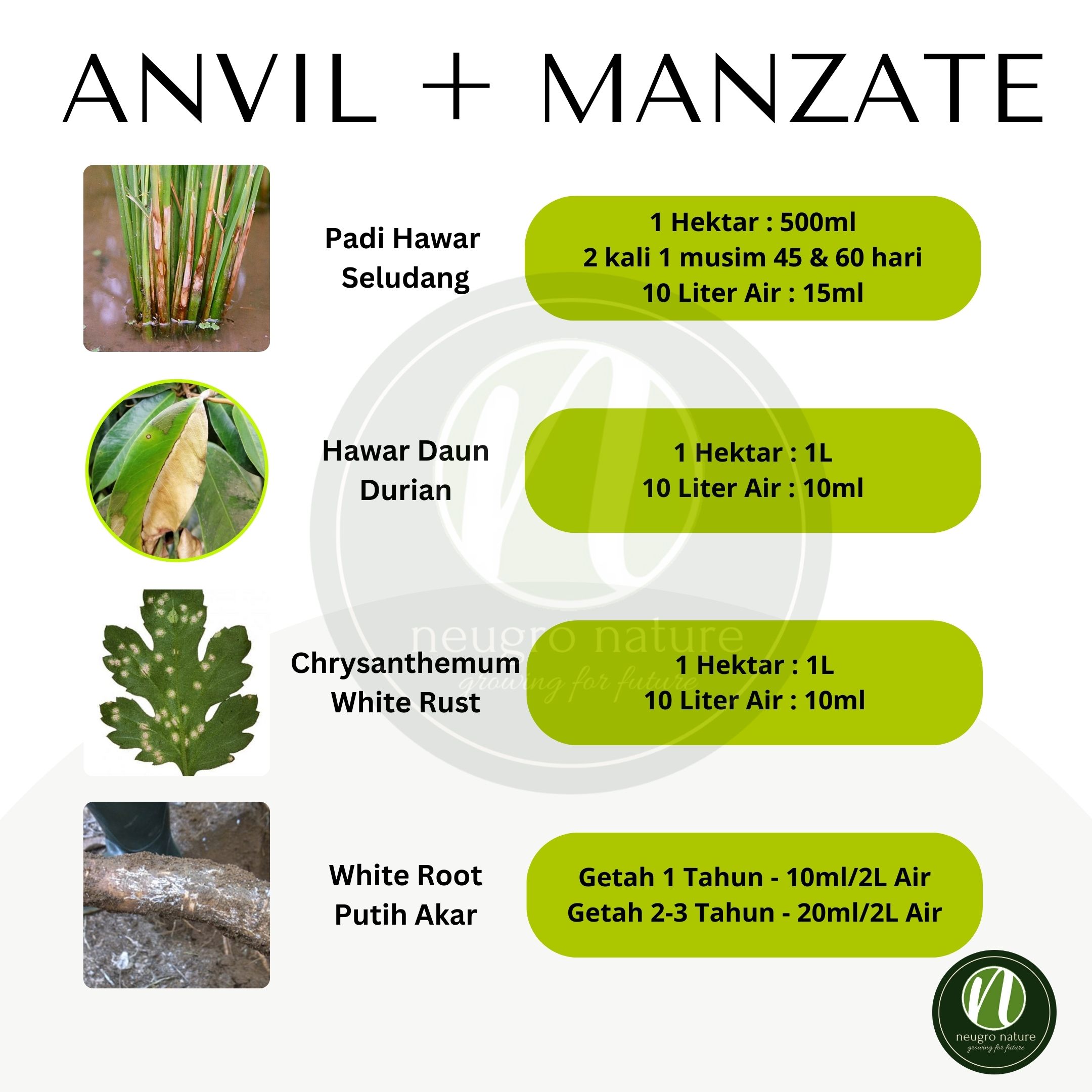 Syngenta ANVIL (1L) Hexaconazole 4.8% - Racun Kulat Hawar Daun/ Putih ...