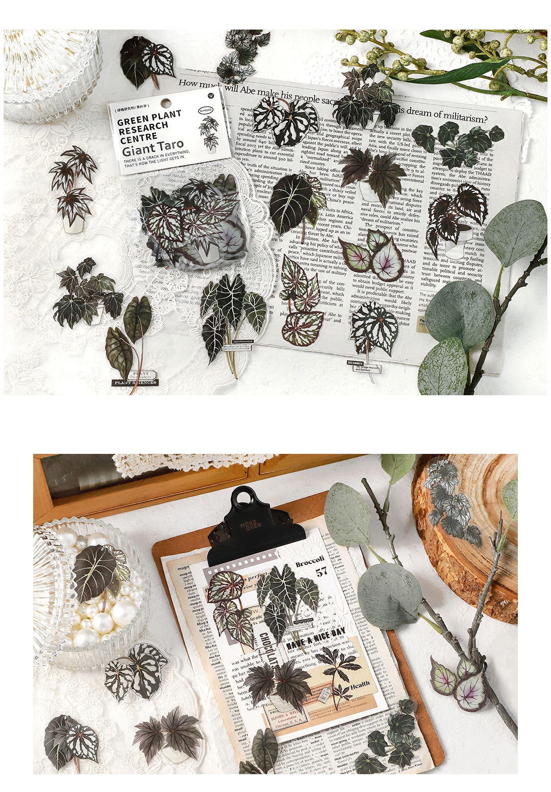 IFM INS Green Plant Research Centre Series Deco Stickers Botanical ...