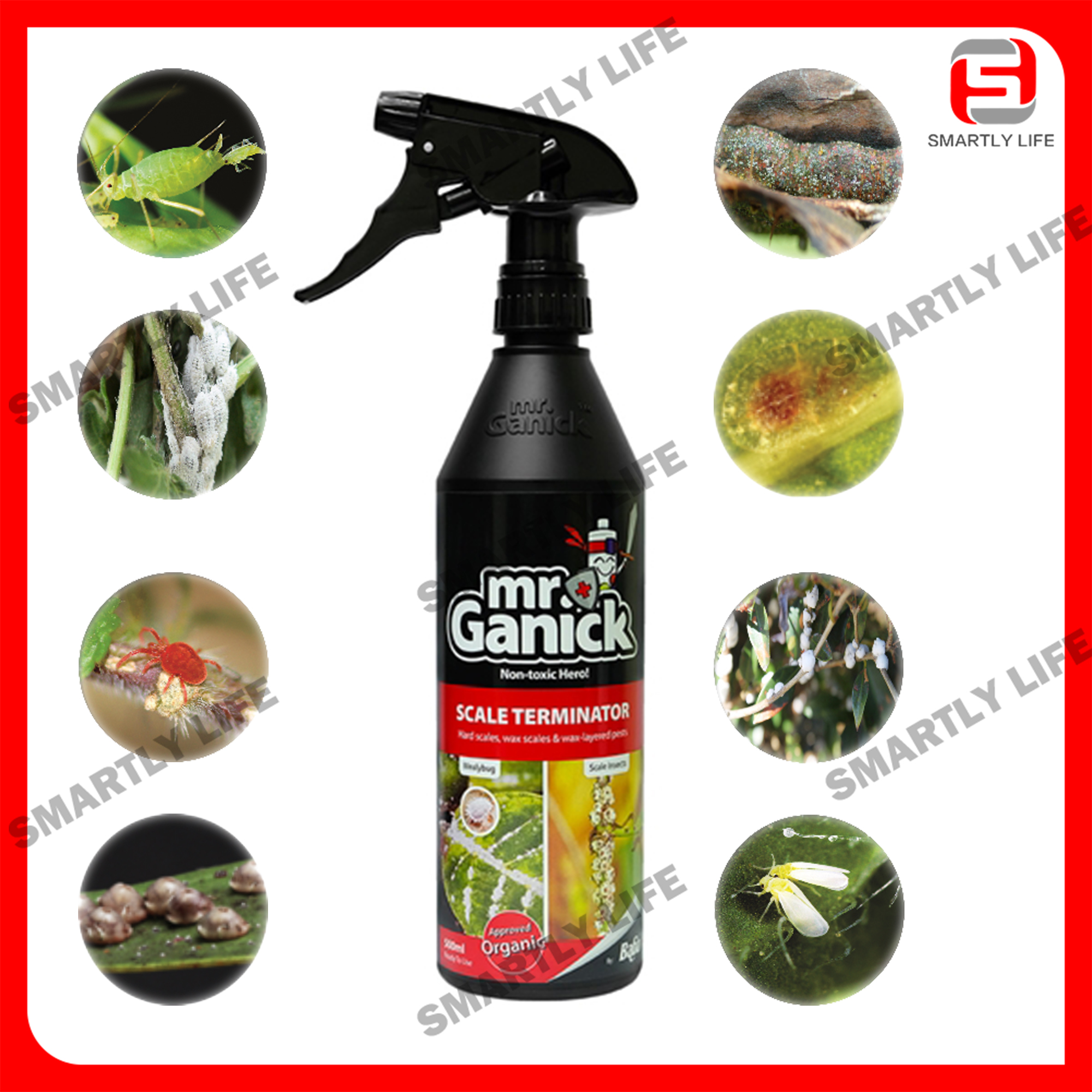 Baba Mr Ganick Organic Pesticide Series | Dr Neem | Scale Terminator ...