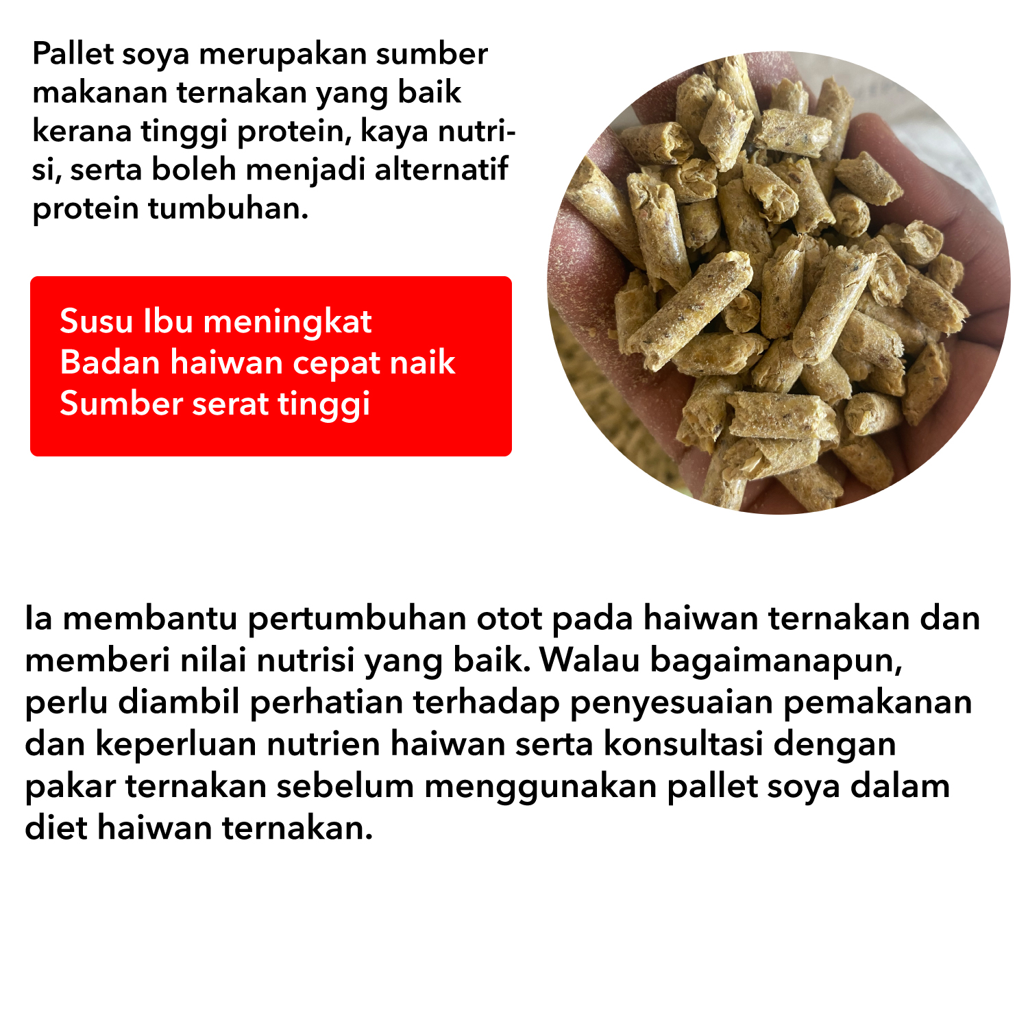 [REPACK][10KG] [1620] Pallet Kulit Kacang Soya/Soybean Hull Pallet ...