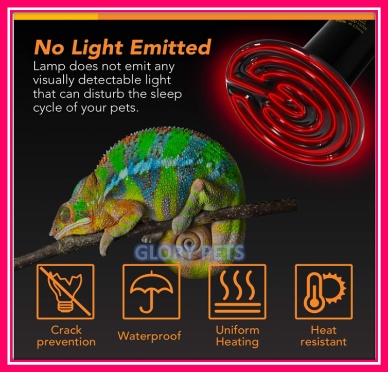 Infrared Heater Tortoise Heating Light Reptile Ceramic Heat Emitter ...