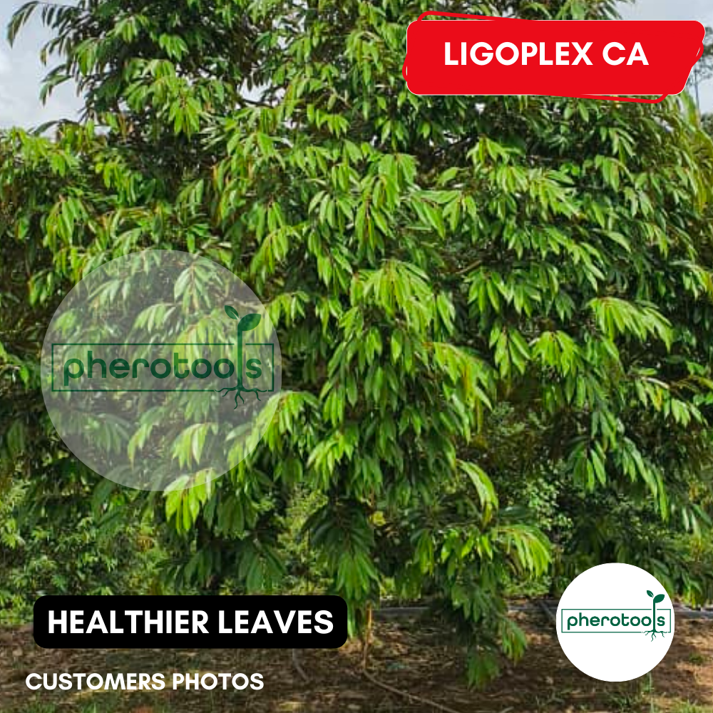 Biolchim 5L LIGOPLEX® Ca Calcium complexed by ammonium ligninsulphonate ...