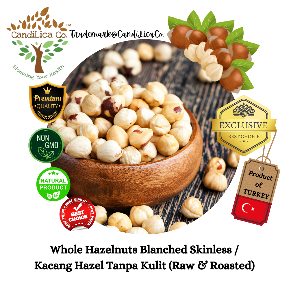 CandiLica Co. Premium Imported Whole Hazelnuts Blanched Skinless ...