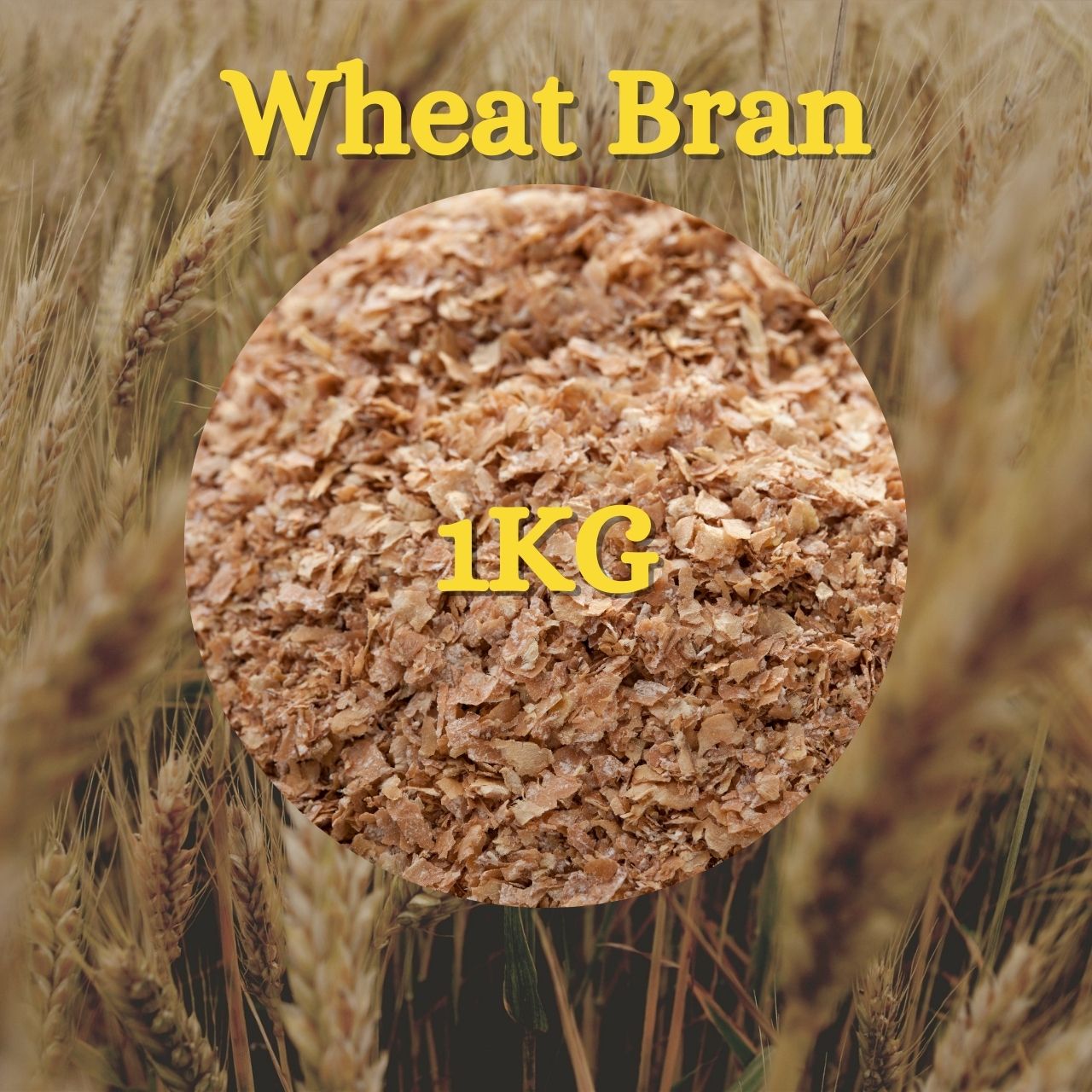 Dedak Gandum 1KG Wheat Bran Mealworms Dedak Ayam Dubia Roaches Makanan ...