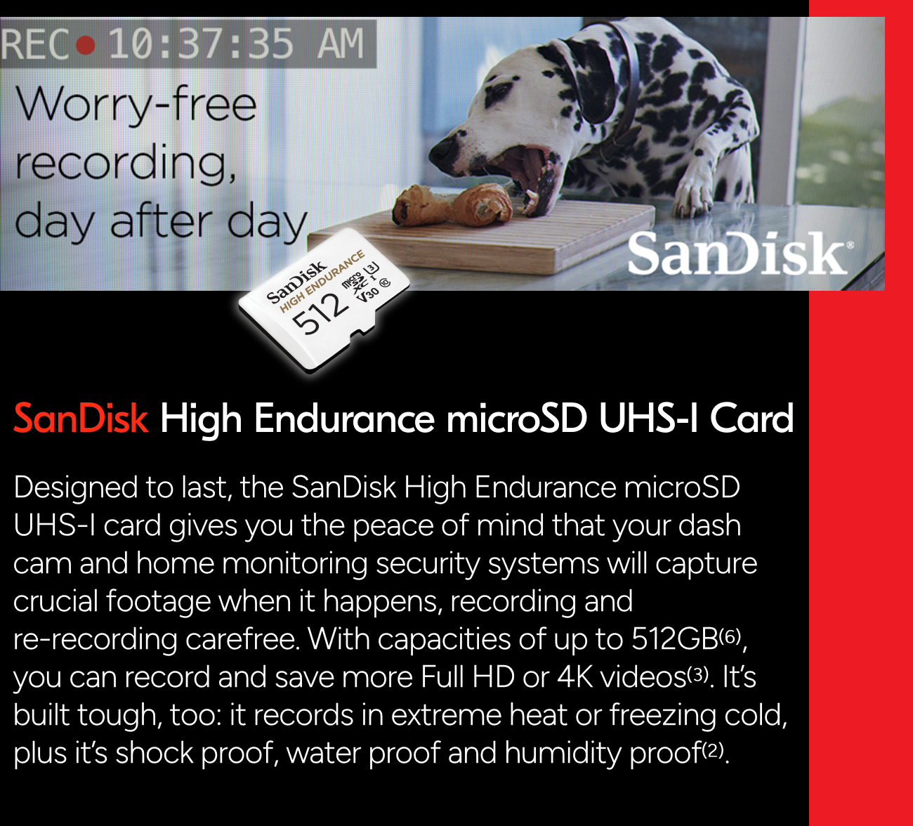 SanDisk® High Endurance microSD™ Card (32GB/64GB/128GB/256GB) | Shopee ...