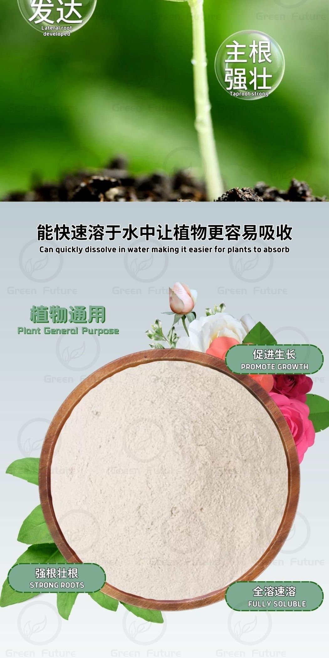 Plant Rooting Powder 植物生根粉 rooting root pertumbuhan akar powder hormon ...