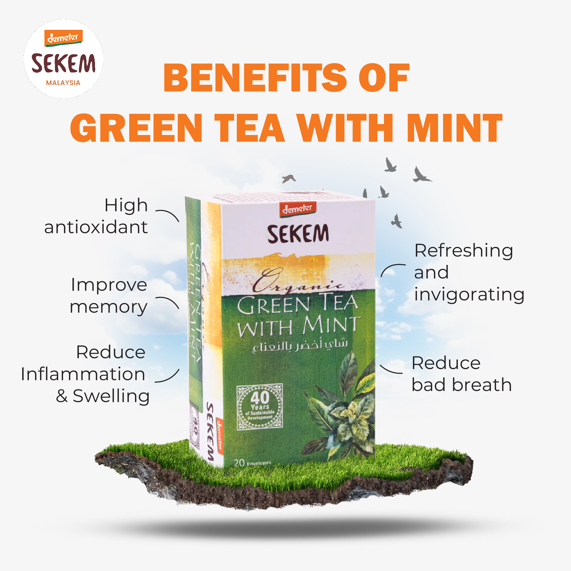 SEKEM DEMETER GREEN TEA WITH MINT / (20 FILTER BAGS/BOX) | Shopee Malaysia