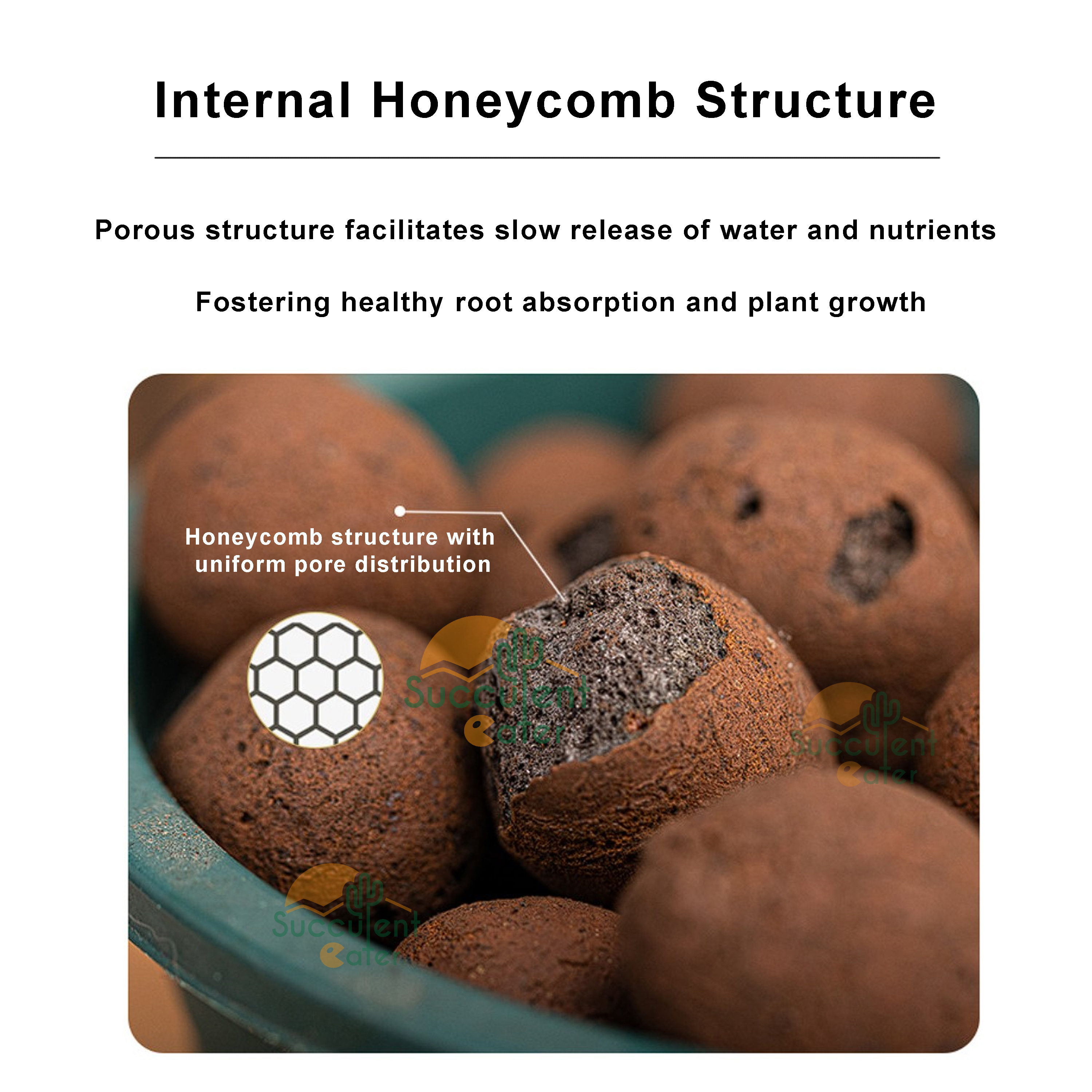 LECA Ball 200g Clay Pebbles For Hydro Hydrophobic & Aquaponic Succulent ...