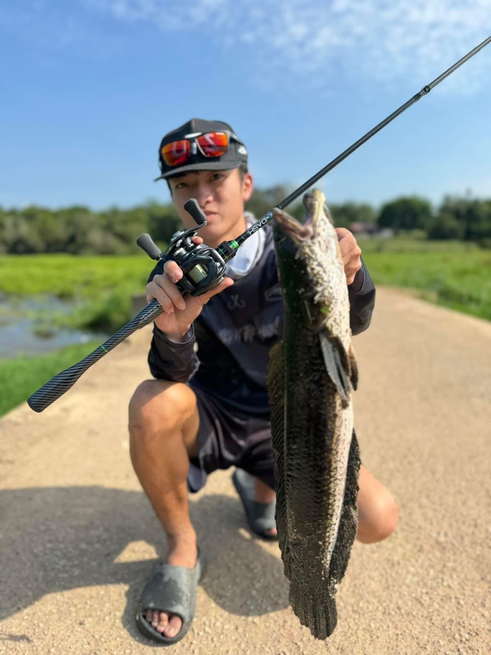 Dash Baitcasting Rod - All About Snake Head | Shopee Malaysia