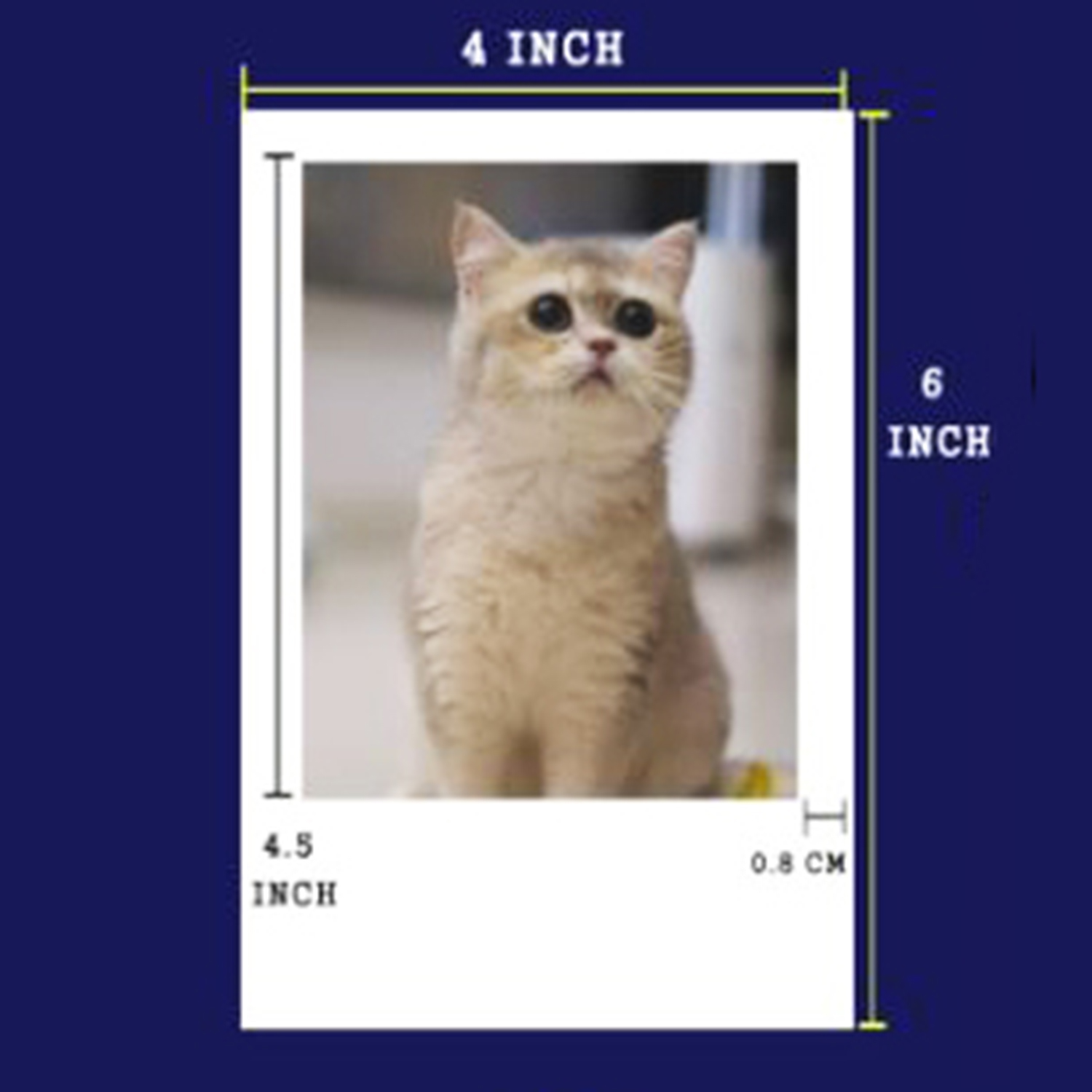 100% Waterproof | 3R Lomo Card | 4R Lomo Card | Lomo Prints | Lomo Card ...