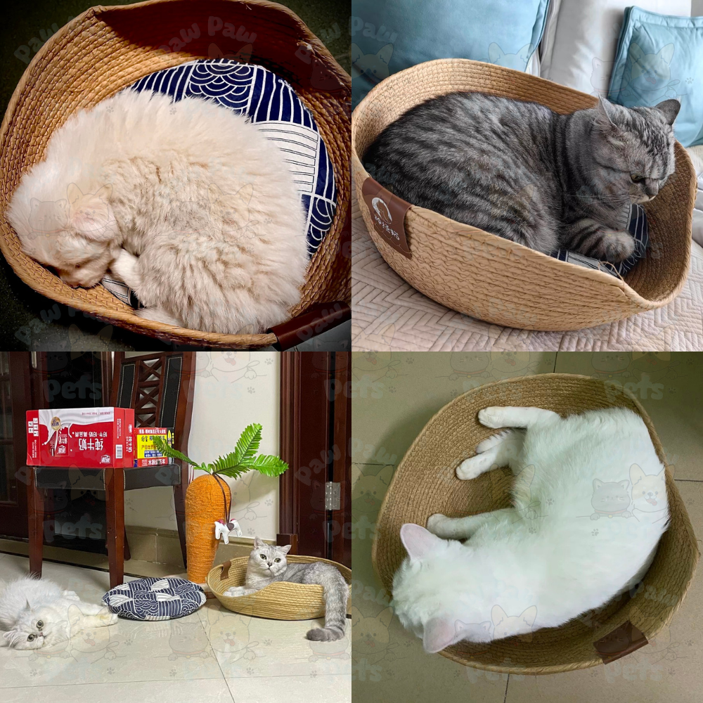 Japanese Handwoven Rattan Cat Basket with Cushion Pet Cat Bed | Bakul ...
