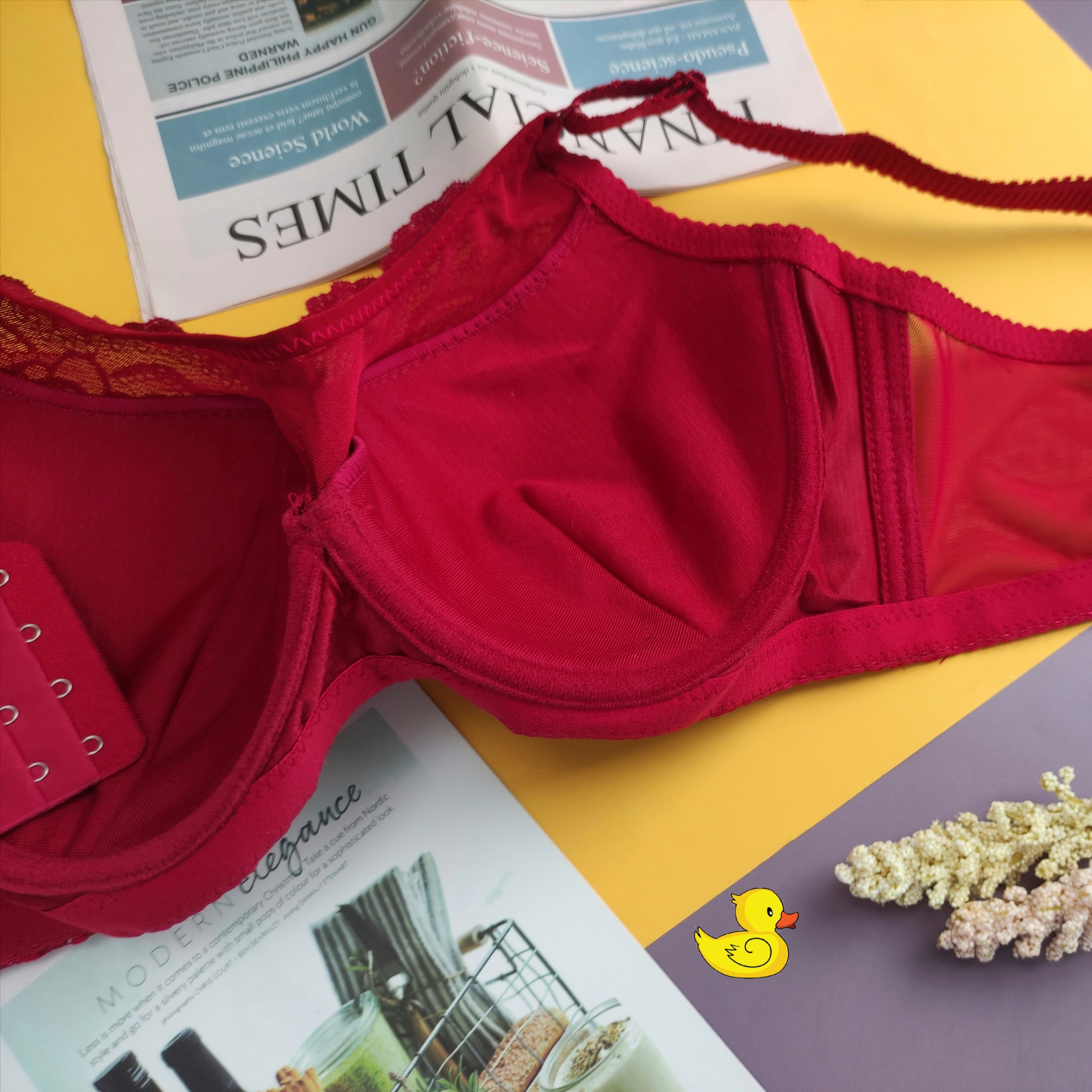 Bra Women Plus Size Lace Full Cup Wired Baju Dalam Wanita Renda Cup ...