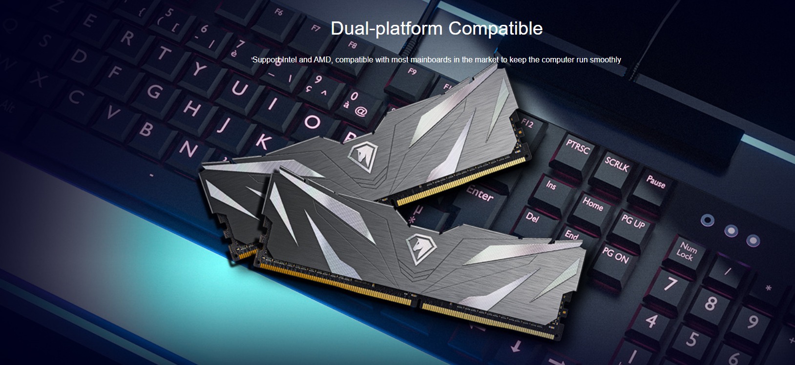 Netac SHADOW II BLACK / WHITE DDR4 16GB 8GB 3200MHZ PC3200 High ...