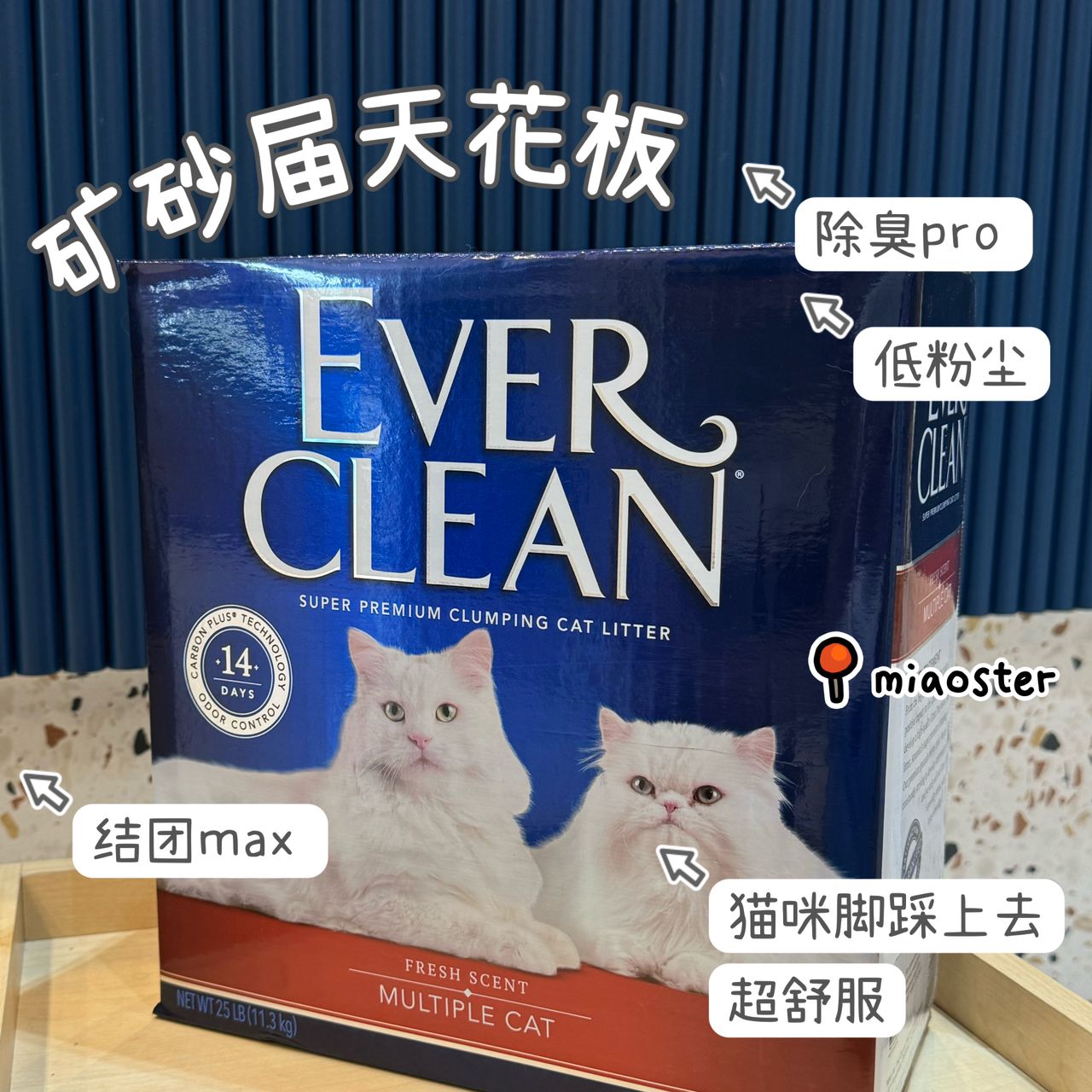 EVER CLEAN Cat Bentonite Litter (11.3KG) | 猫咪矿砂 低粉尘 除臭 EVERCLEAN ...