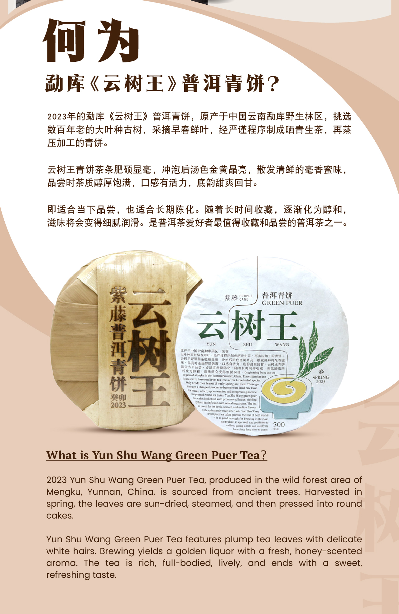 Purple Cane Yun Shu Wang Green Puer Tea Year 2023 Mengku 紫藤 云树王 普洱青饼 2023年 勐库 (±500g) | Shopee ...