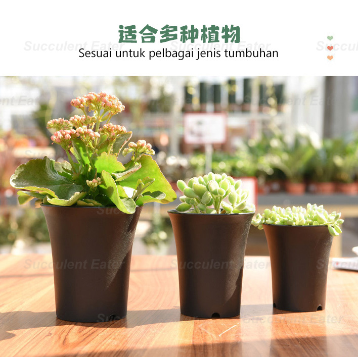 Flower Pot Pasu Bunga Round Thick Tall Plastic Succulent Cactus Pots ...