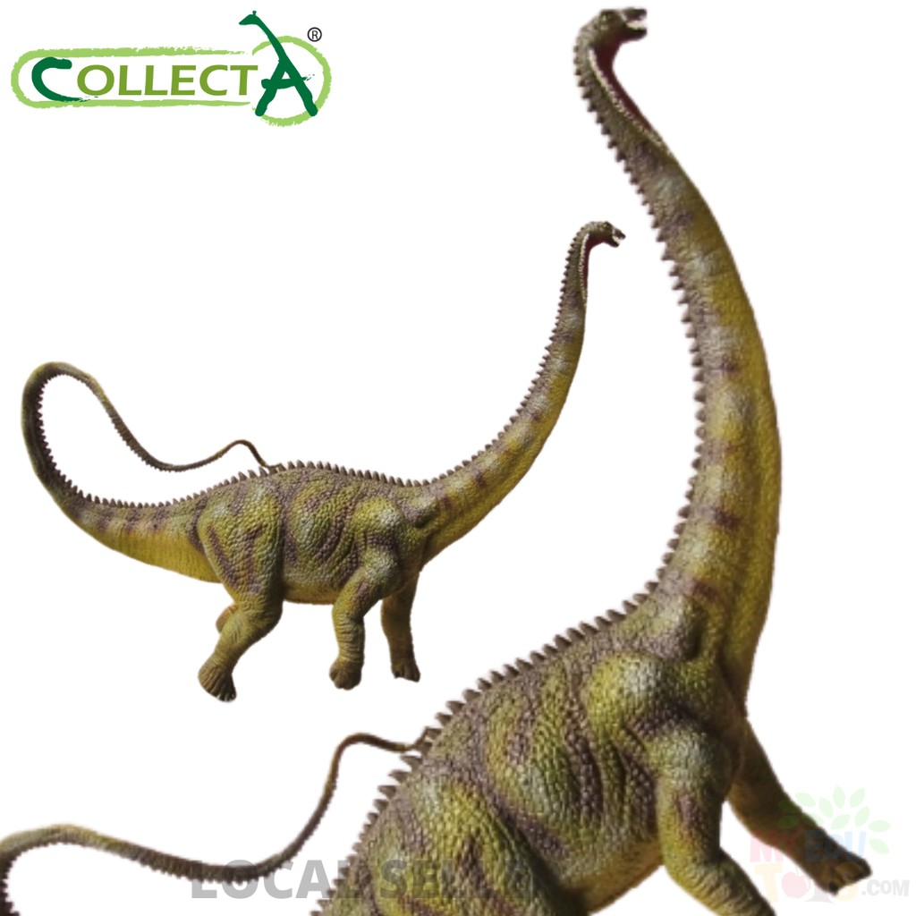 Diplodocus - Collecta 88622 Prehistoric Life Dinosaur Action Figures ...