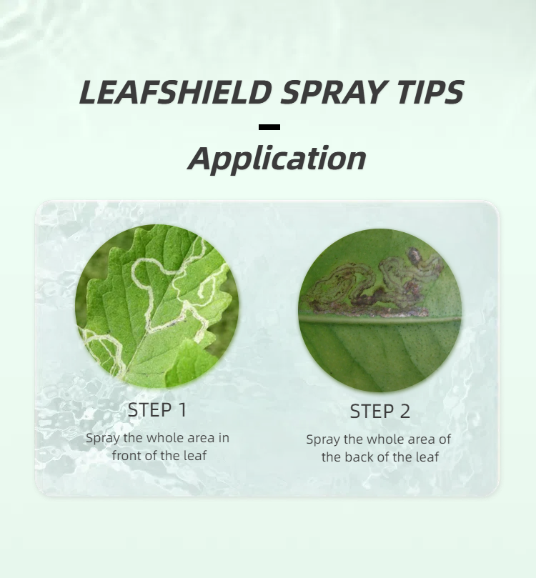 AGROSTAR LeafShield Spray - Ready-to-Use Organic Pest Control for Leaf ...