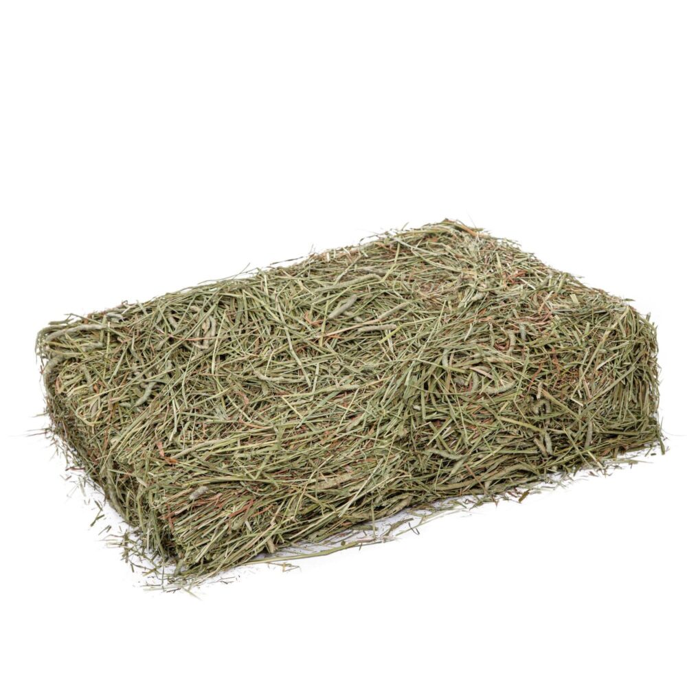 Ready Stock Timothy Premium Crispy Timothy Hay 1Kg Carino Pets Rabbit ...