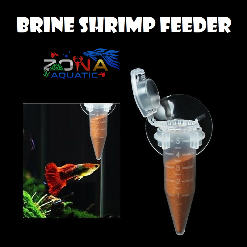 READY STOCK | BBS FEEDER | BRINE SHRIMP FEEDER | WITH SUCTION CUP ...
