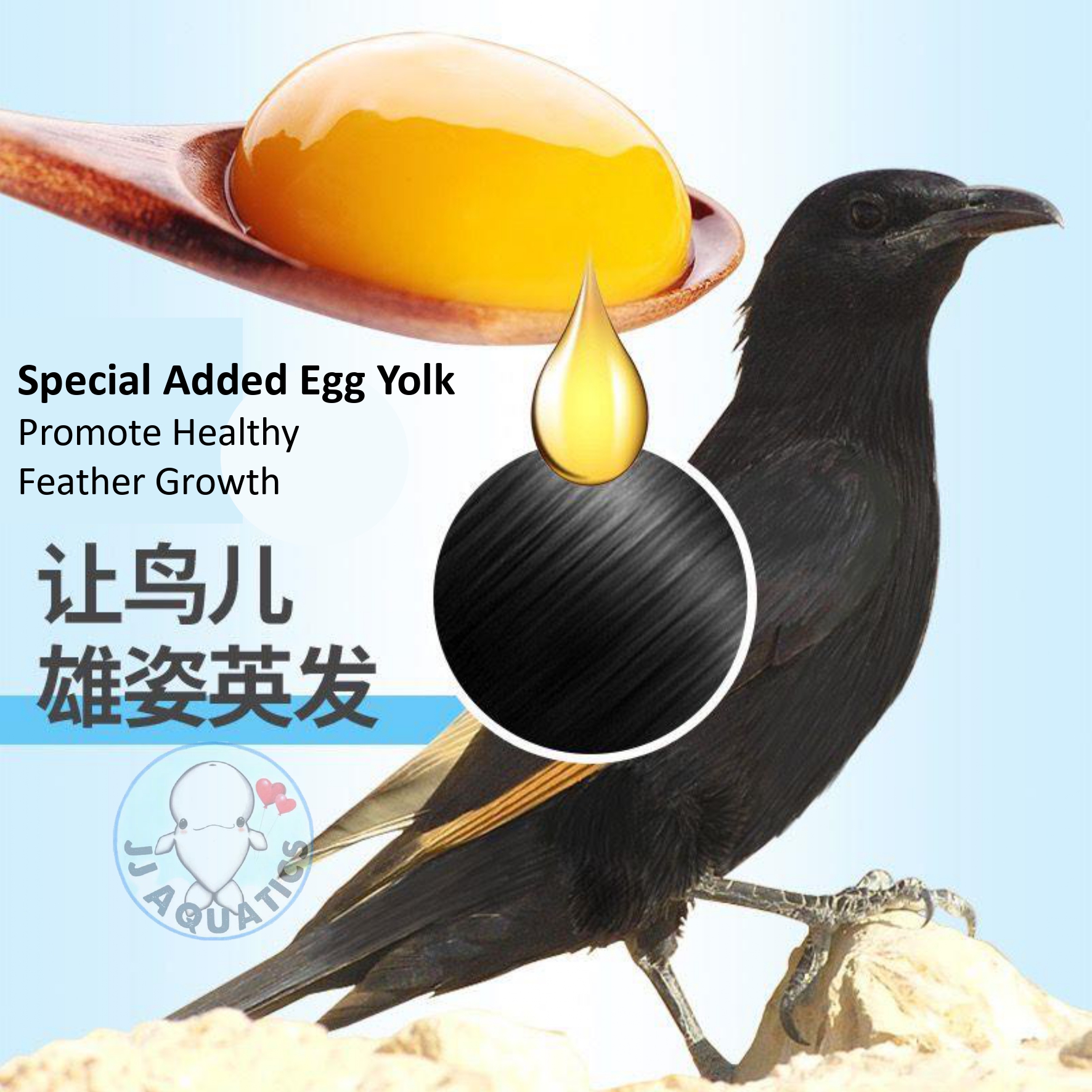 🔥Ready Stock🔥Jonsanty Luxury Premium Bird Food Common Hill Myna Crested ...
