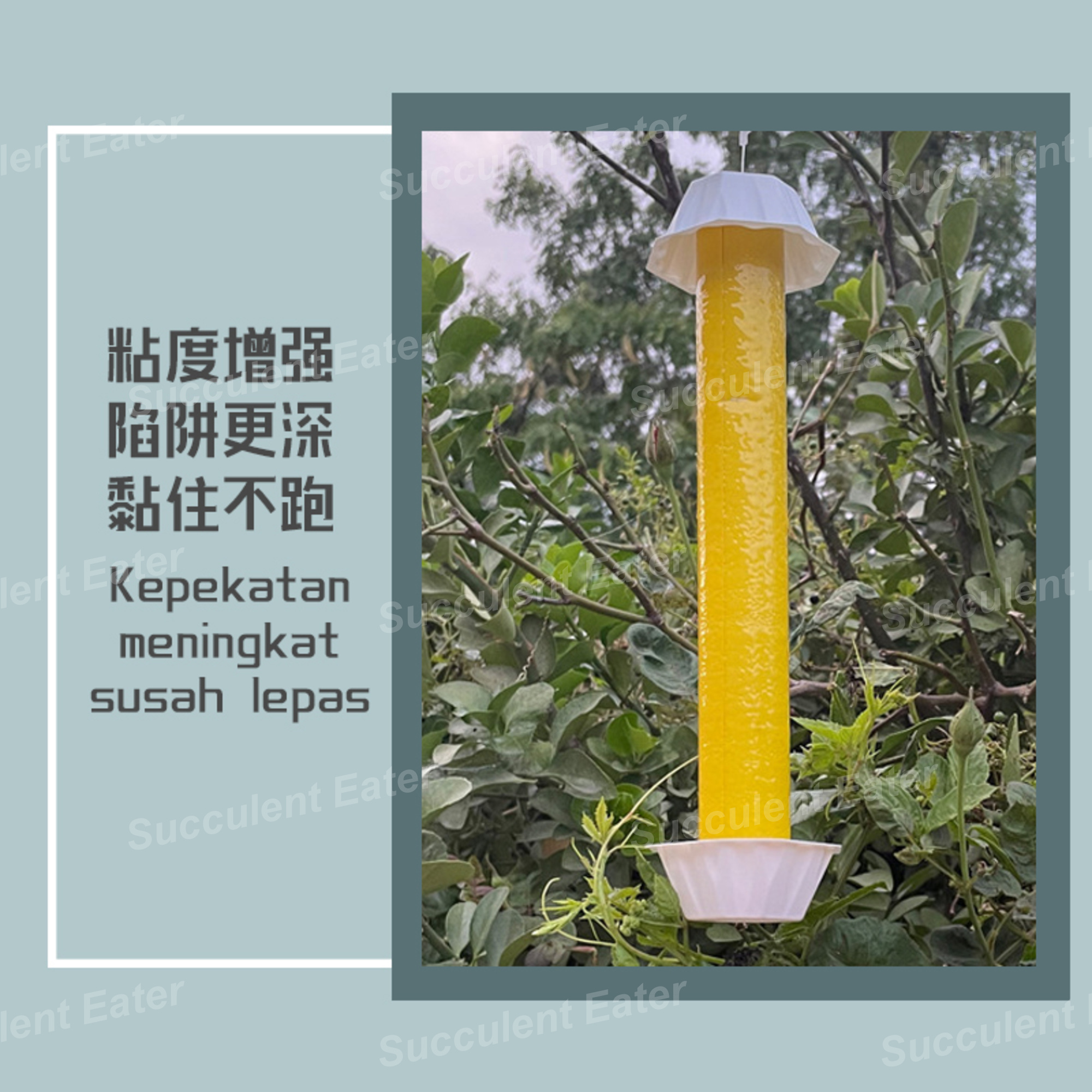 Fly Stick Trap Batang Perangkap Serangga Lalat Nyamuk 粘蚊虫苍蝇 | Shopee ...
