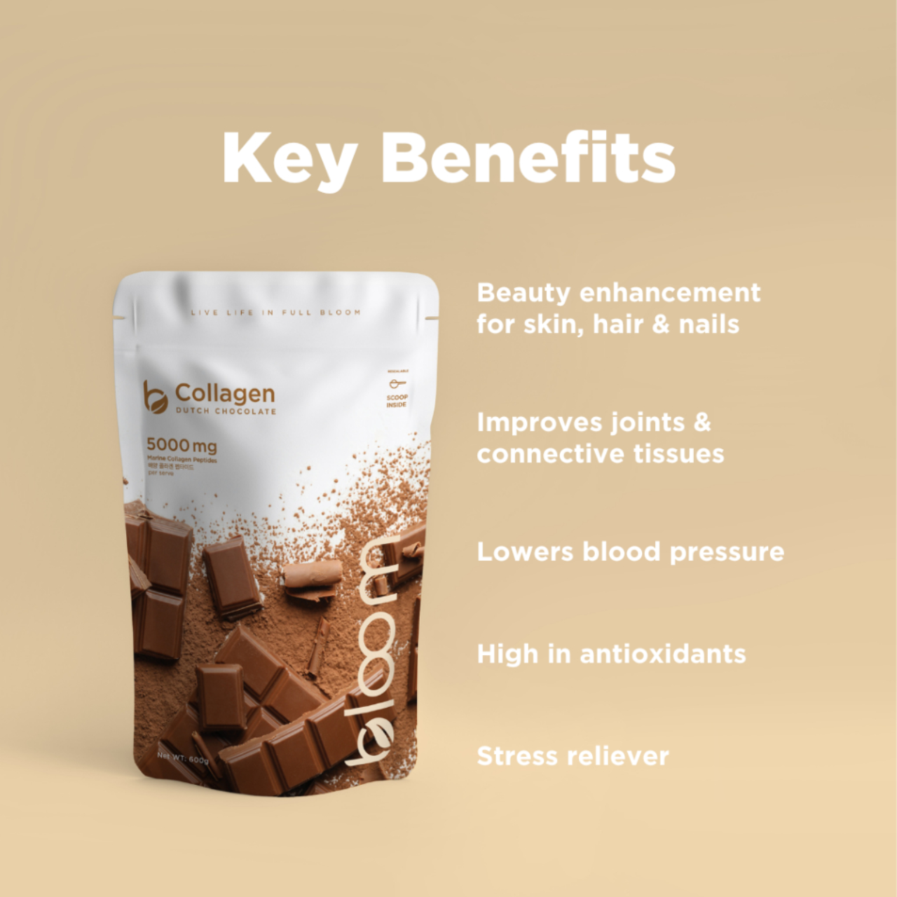 Bloom Collagen Dutch Chocolate with 5000mg Marine Collagen Peptides ...