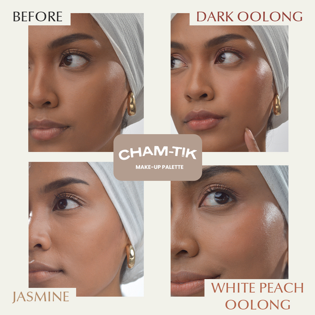 hygr Chamtik Makeup Palette - 3 Shades | Shopee Malaysia