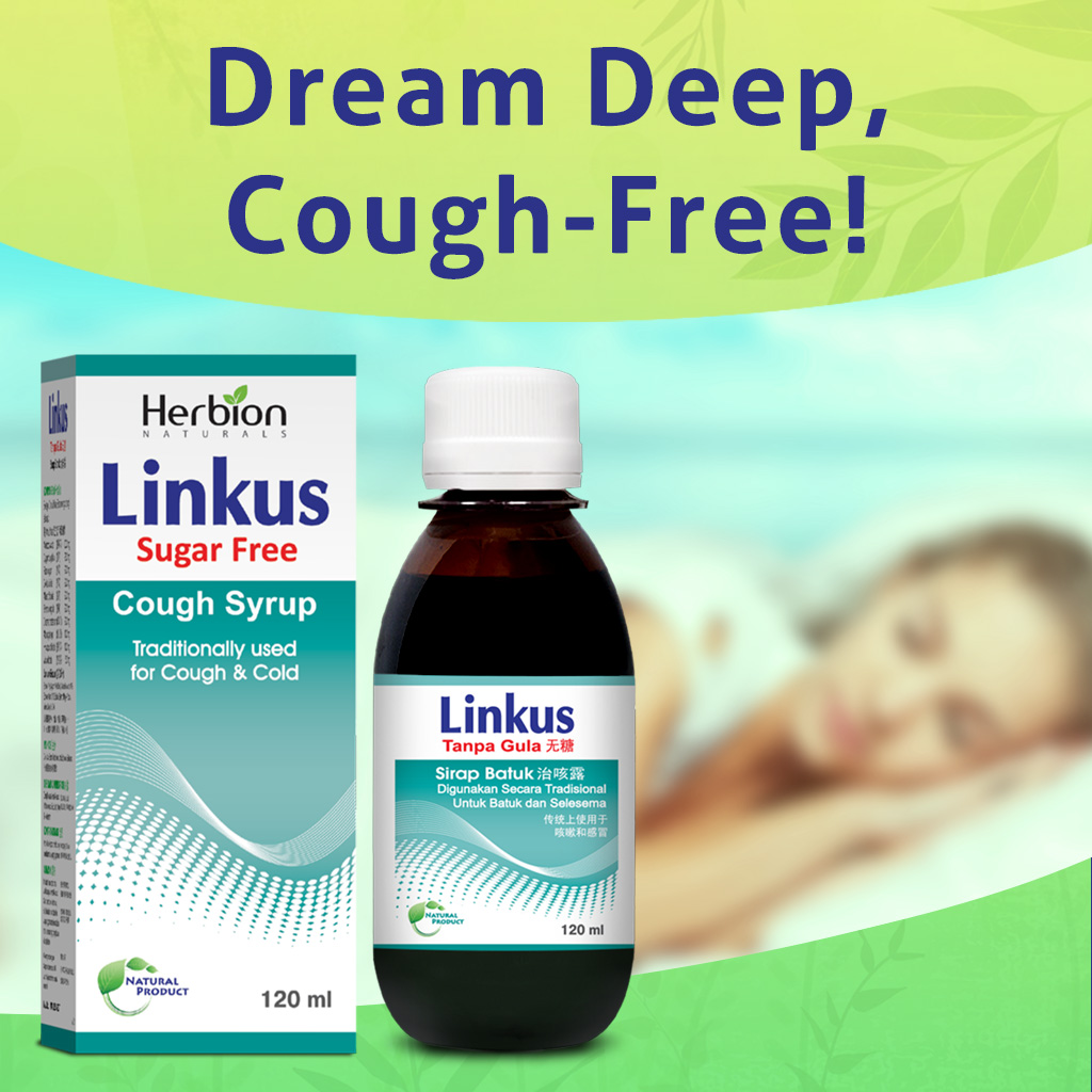 Herbion Linkus Sugar-Free Cough Syrup for Cold and Cough Relief (120ml ...