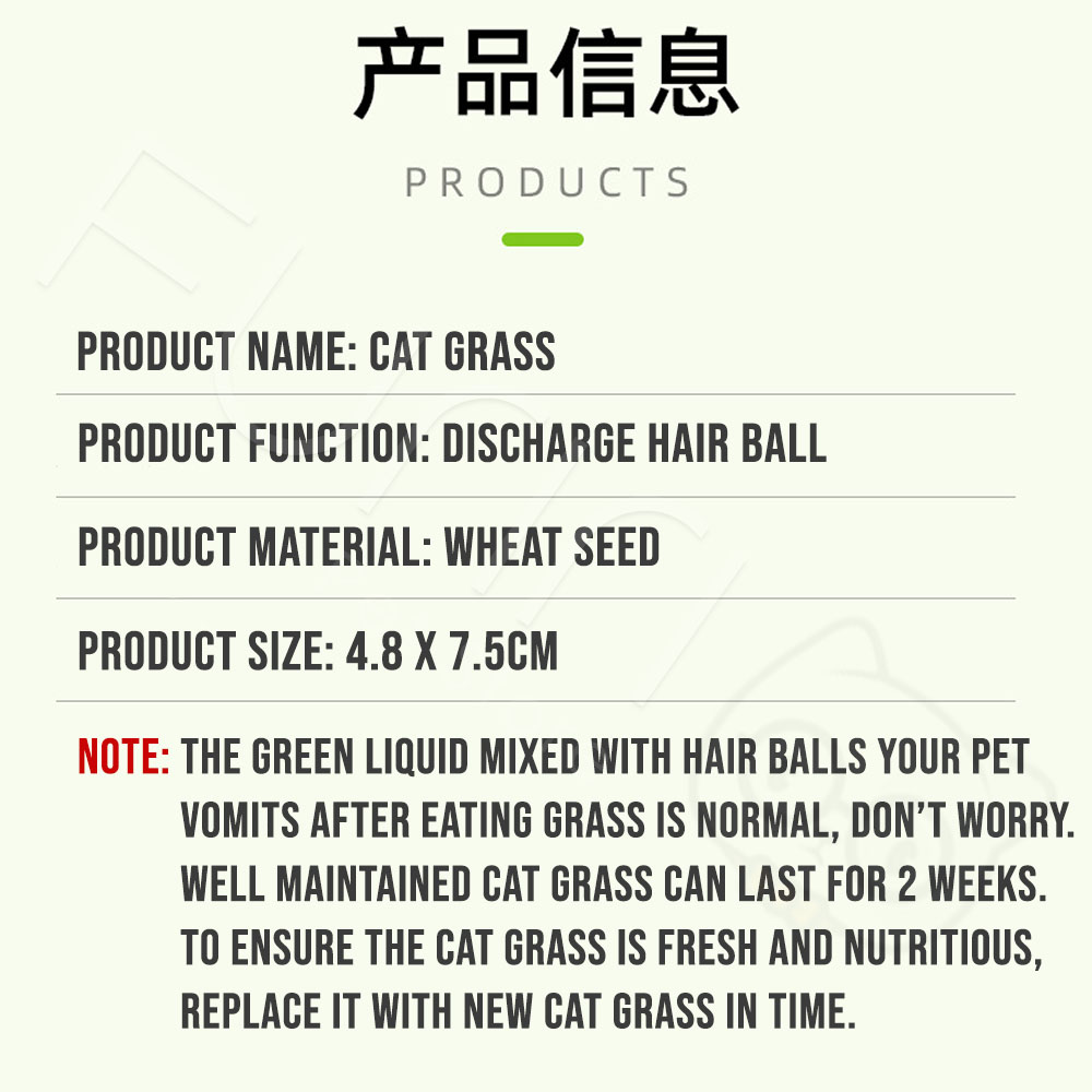Furiri Lazy Cat Catnip Grass In Can Rumput Kucing Water And Grow Kit ...