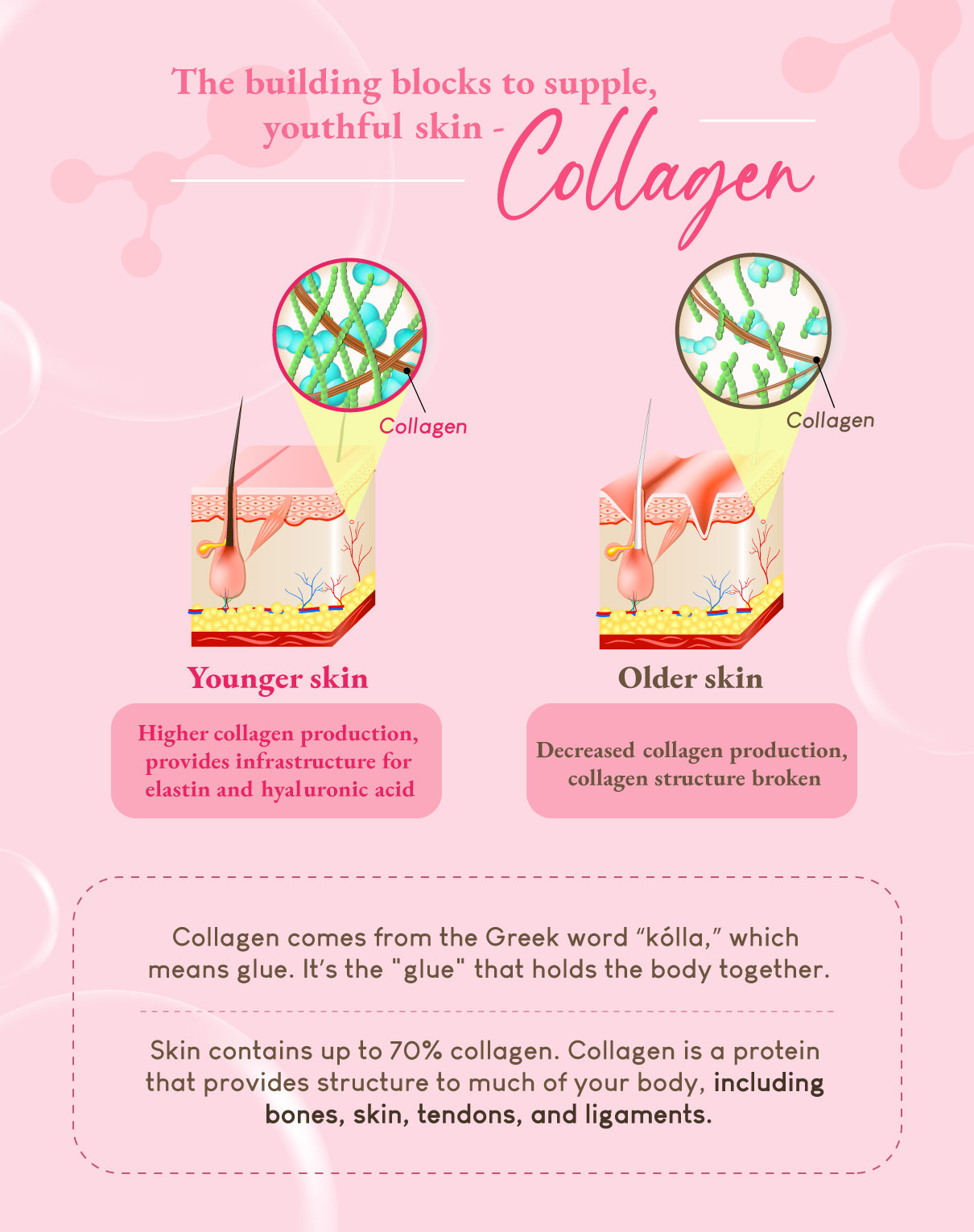 Signature Market Vital Spark Marine Colla-Plus (Collagen Powder, Skin ...