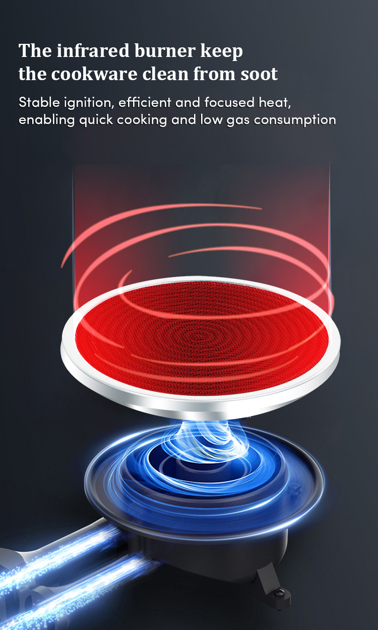 Riino Stainless Steel Hybrid Tabletop Infrared & Gas Cooker SS1039 ...