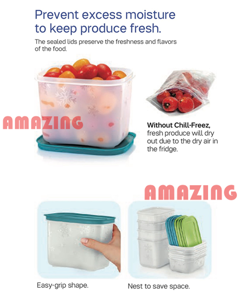 Tupperware Chill-Freez Series/ Chill Freez Set/ Food storage Box/ Sea ...
