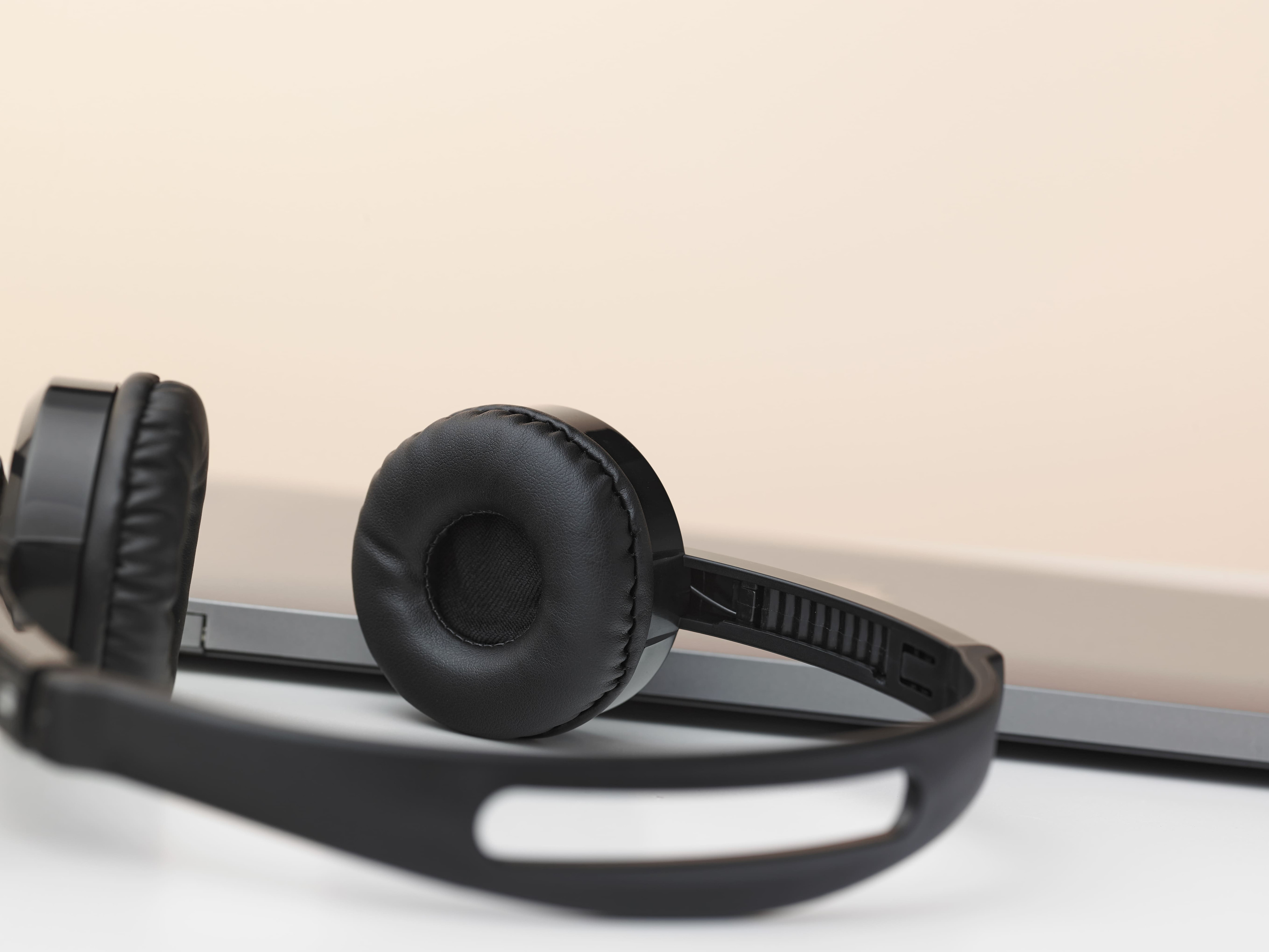 Rapoo H100 Wired Stereo Headsets with HD Voice Rotary Microphone Volume ...