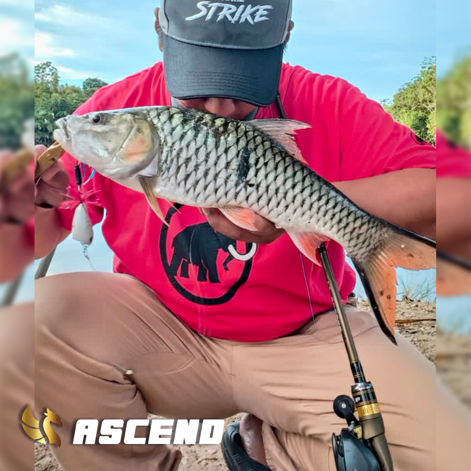 [ LIMITED FREE GIFTS] EXP ASCEND ROD 2 PCS Fishing Rod Medium Light ...