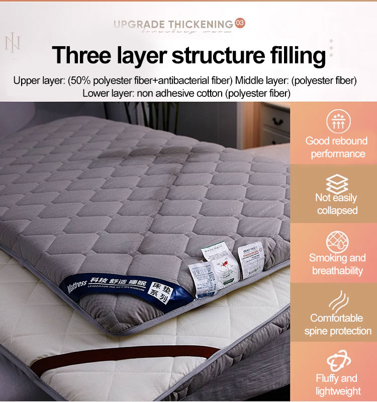 Queen King Size Protection Sponge Tatami Mattress Protector Thick ...