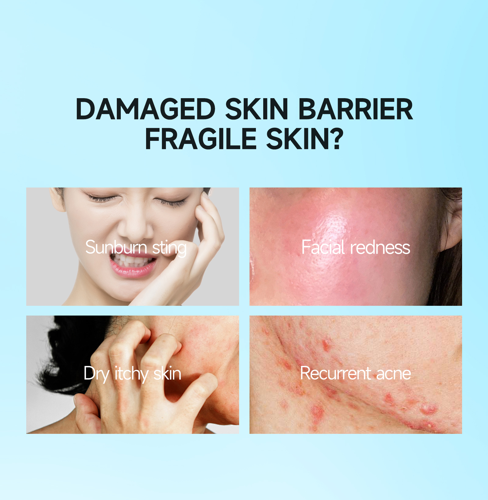 GMEELAN Sea Fennel Ectoine Barrier Savior Moisturizer Ectoin French Sea ...