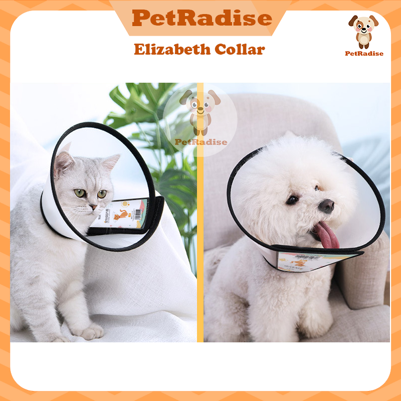 Elizabeth Collar Dog E Collar Cat Cone Collar Dog Cone Collar Dog ...