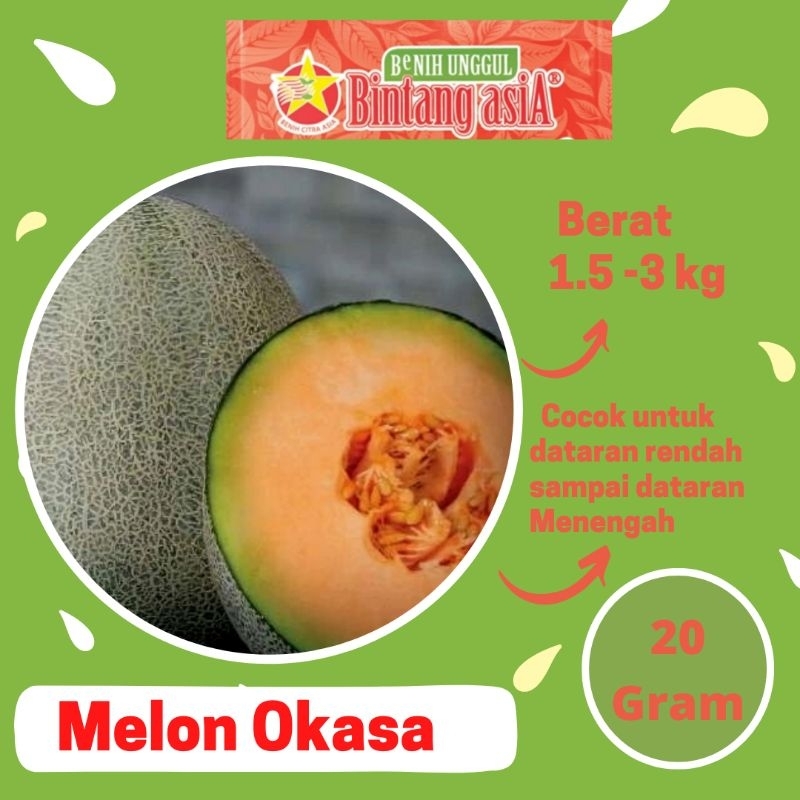 BENIH ROCK MELON OKASA KELUARAN BINTANG ASIA PACK 20 GRAM(850-950+ SEED ...
