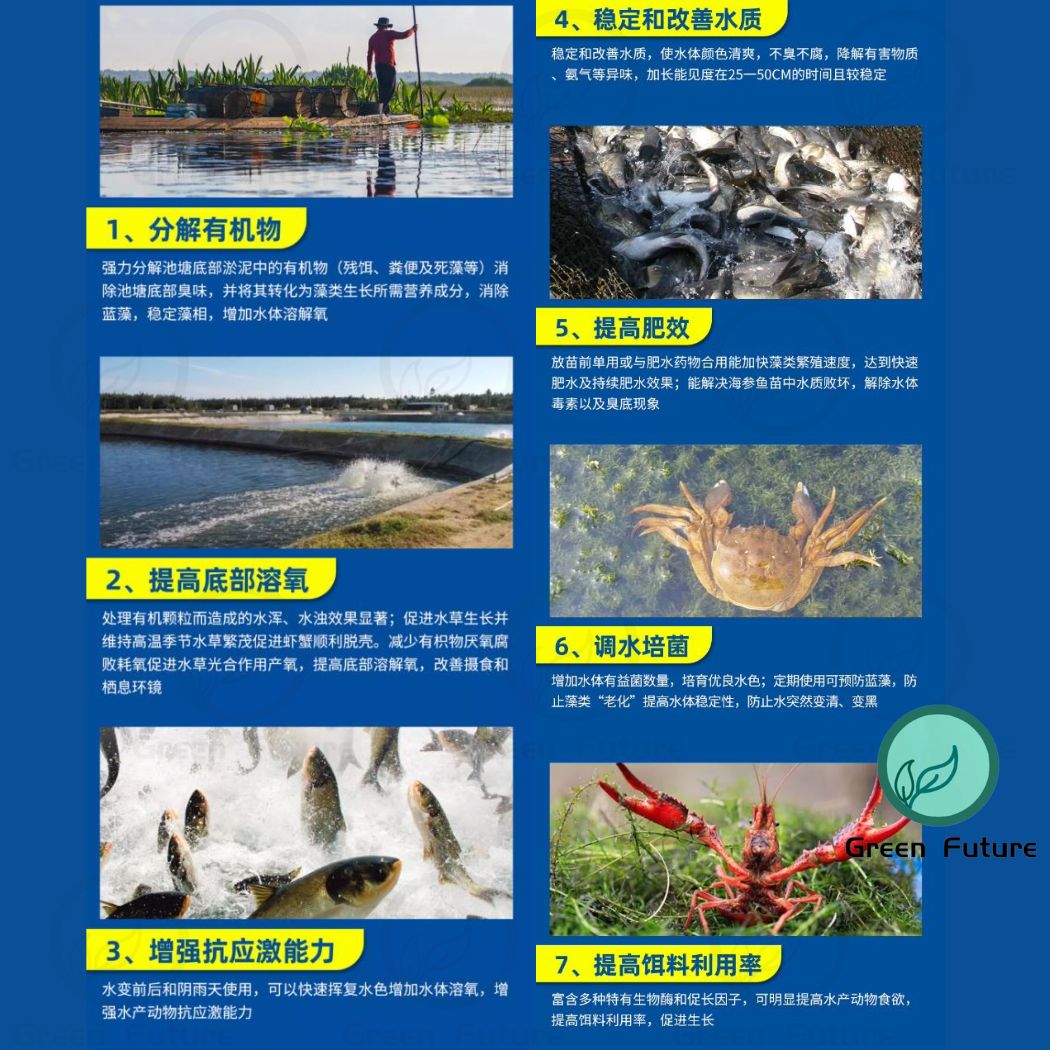 EM 菌 EM Powder Effective microorganism - Powdery (EM益生菌原种) Em ...