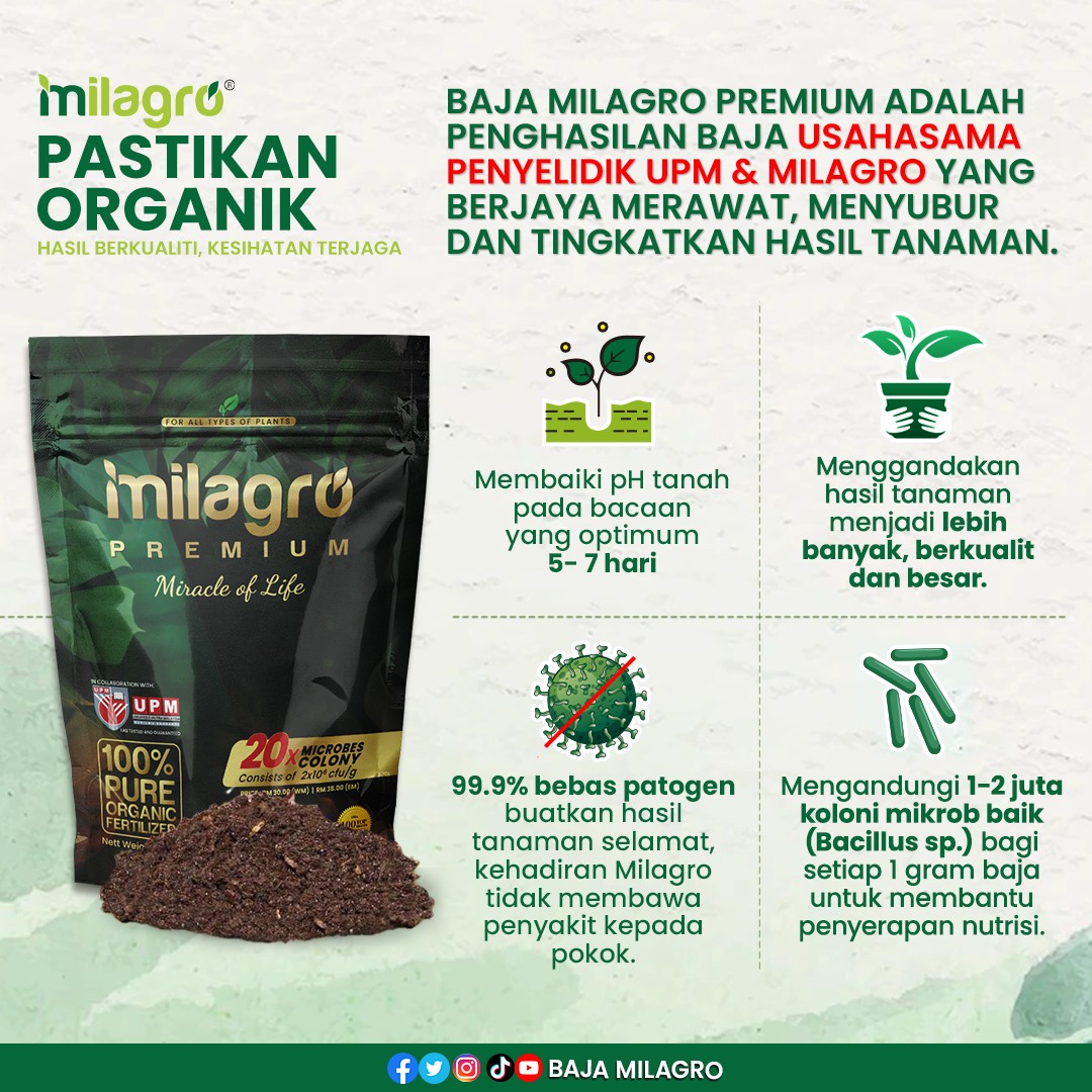 MATADO MILAGRO Racun Serangga Organik Spray Perosak Tanaman Pokok Bena ...