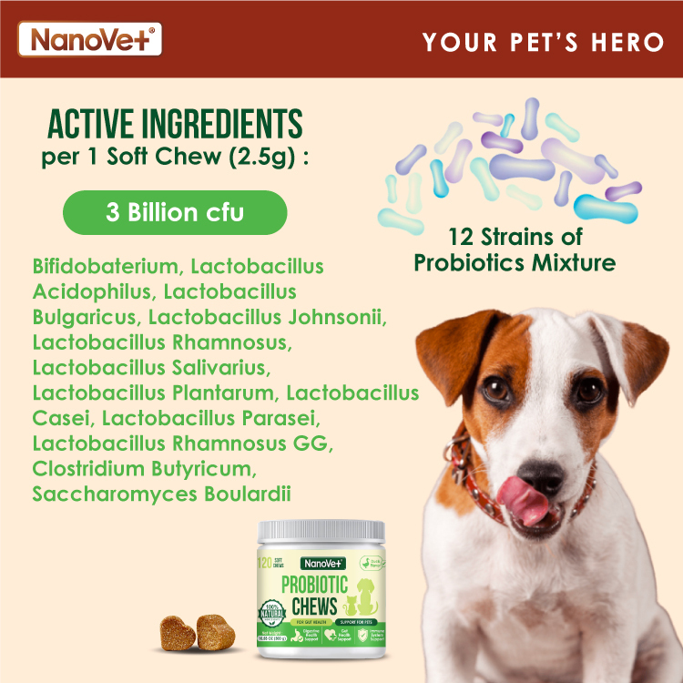 Nanovet Pet Probiotic Chews For Cat and Dog | Shopee Malaysia