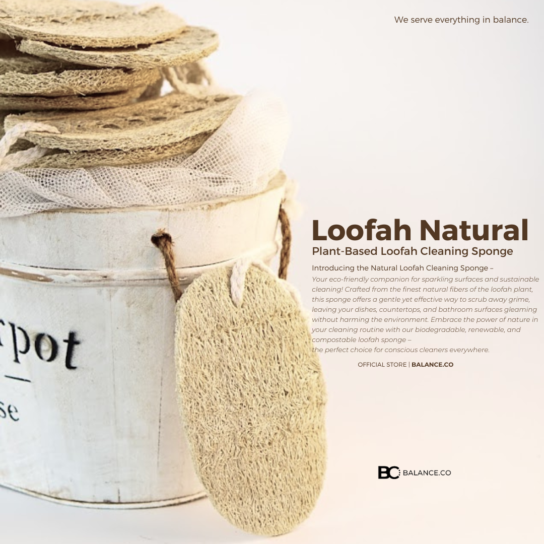 Natural Loofah Cleaning Sponge Dishwashing Hanging String Scouring Dish ...
