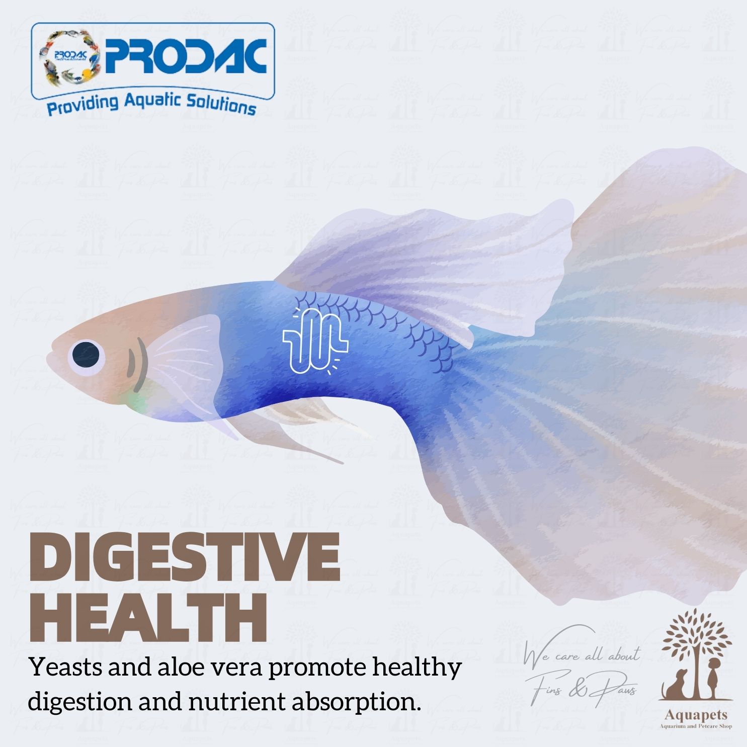 PRODAC Tropical Fish Flakes 250mL (50g) Tropical Fish Food Makana Ikan ...