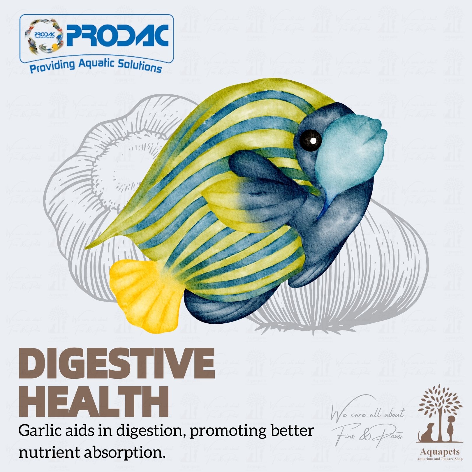 Prodac Garlic Fish Food 100mL - 50g / Makanan Ikan Tropika Tropical ...