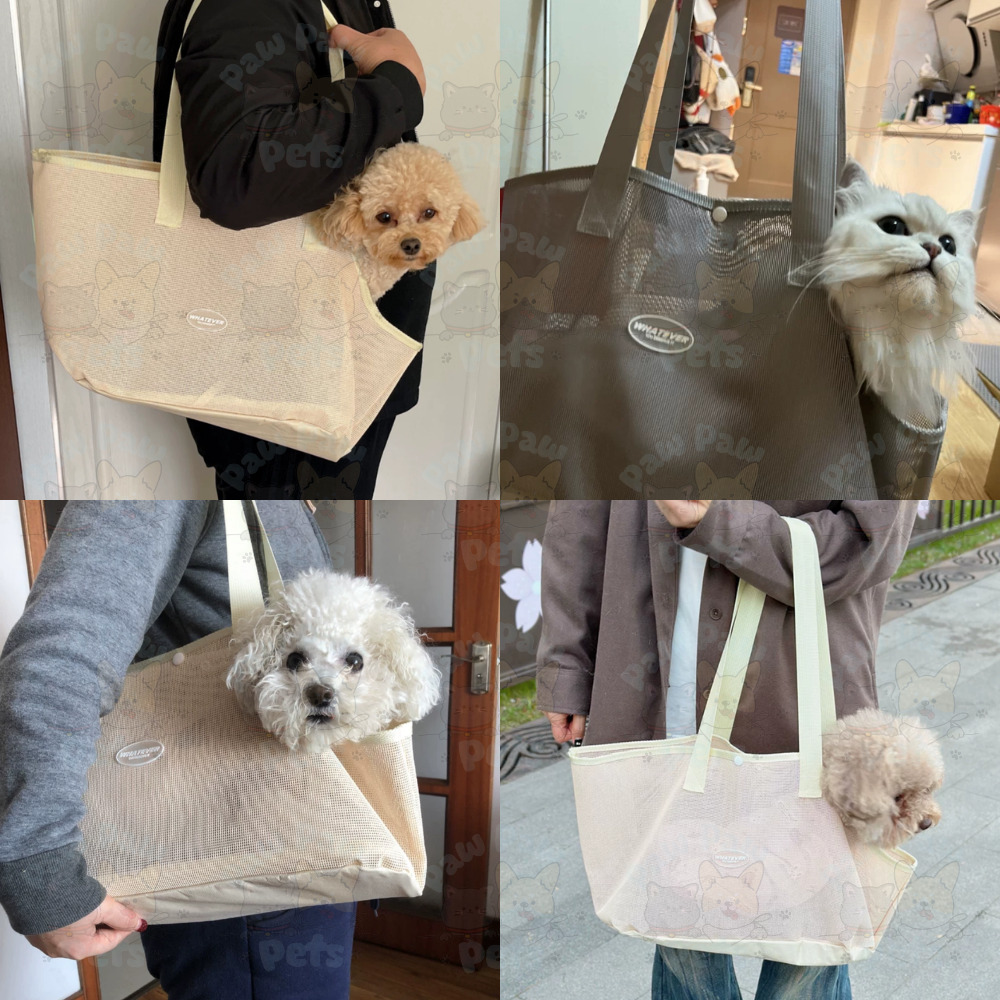 Lightweight & Breathable Mesh Pet Cat & Dog Carrier Bag | Beg Kucing ...