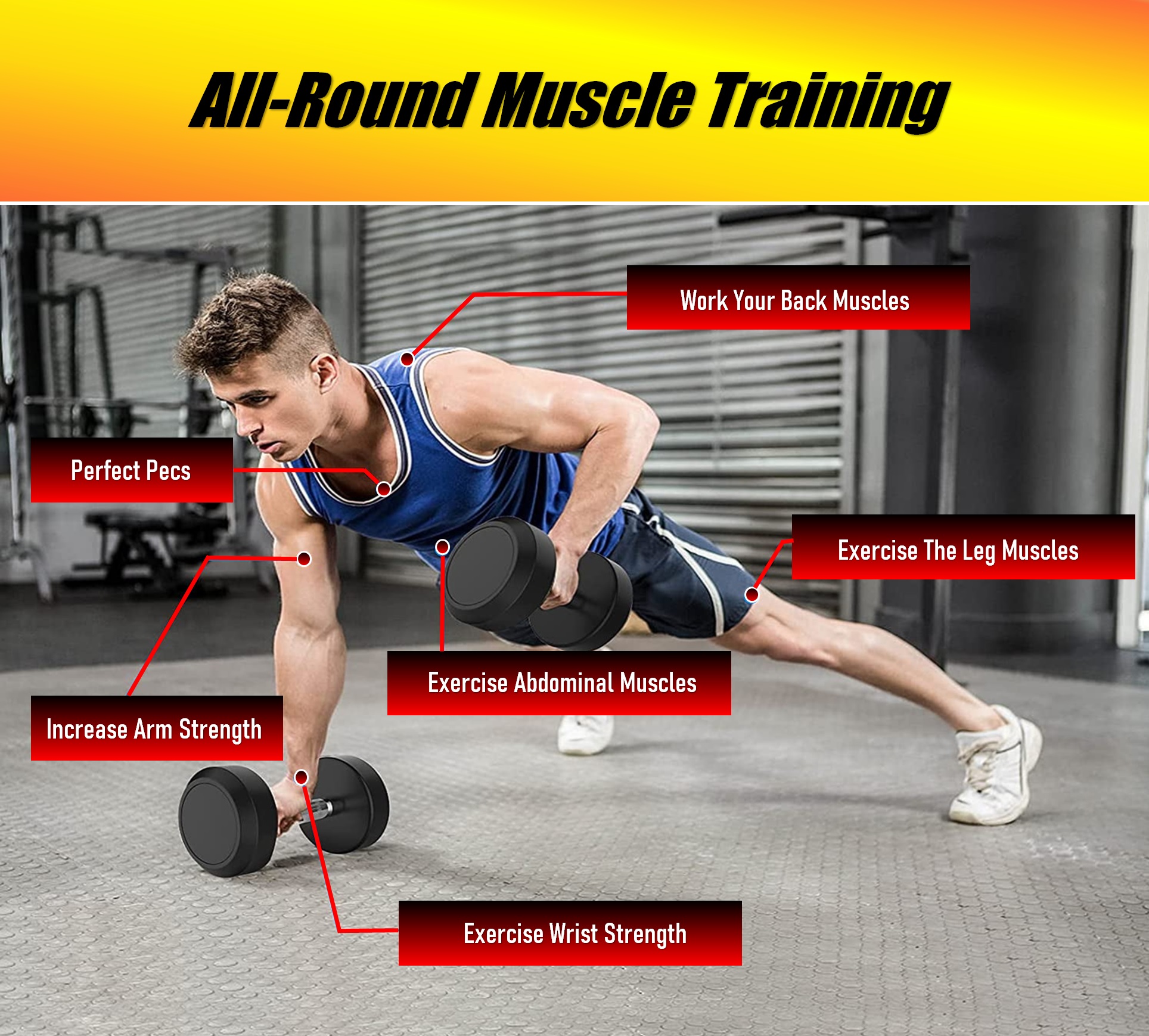 ADSports 2.5KG/5KG/7.5KG/10KG/12.5KG/15KG/17.5KG/20KG/22.5KG/25KG Round Head Dumbbell Rubber ...